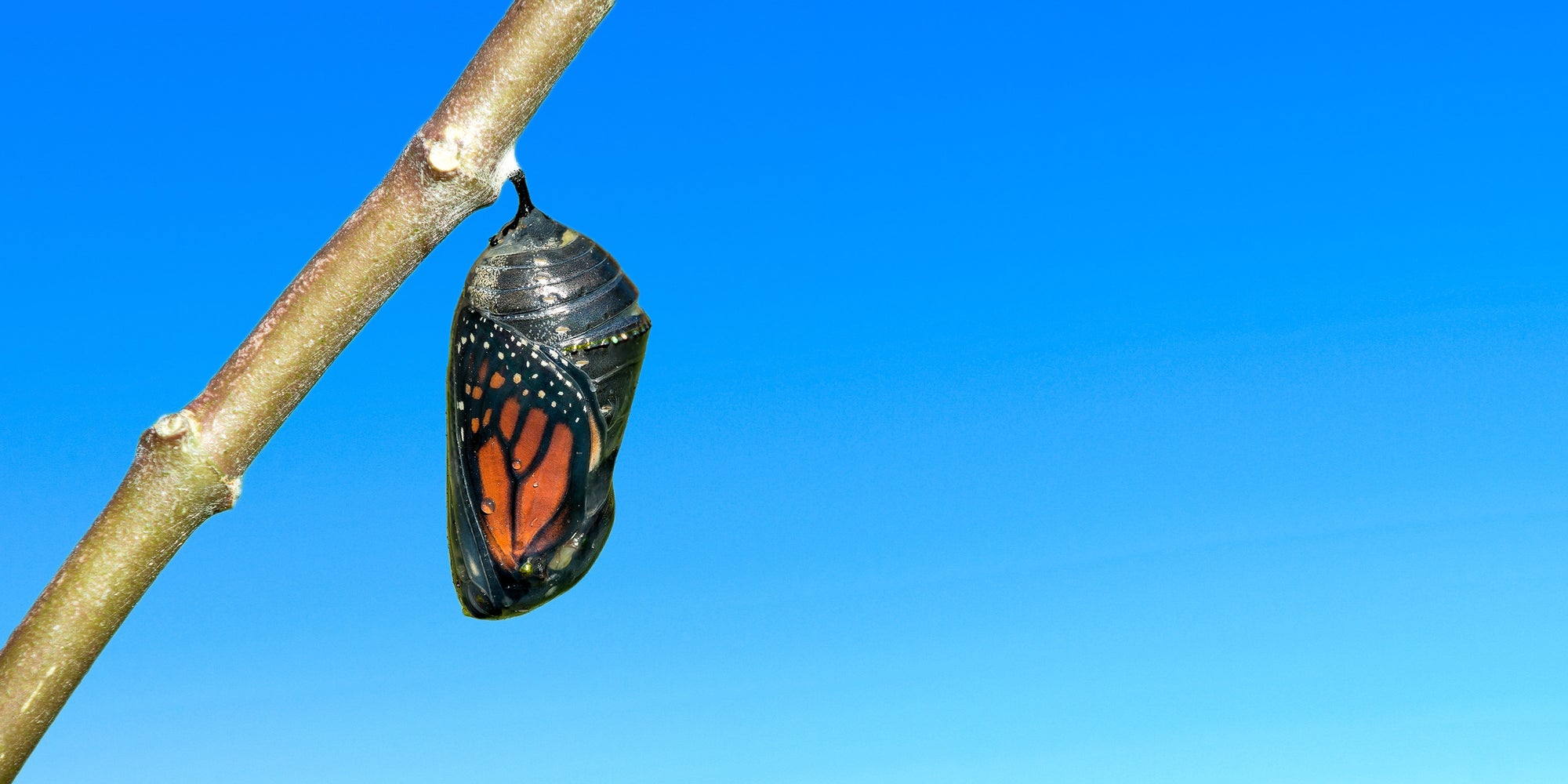 Expert Digital Marketing Agency | Drive Online Success - Define Me